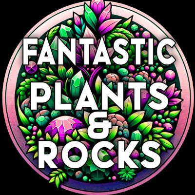 Fantastic Plants & Rocks – Studio Historia