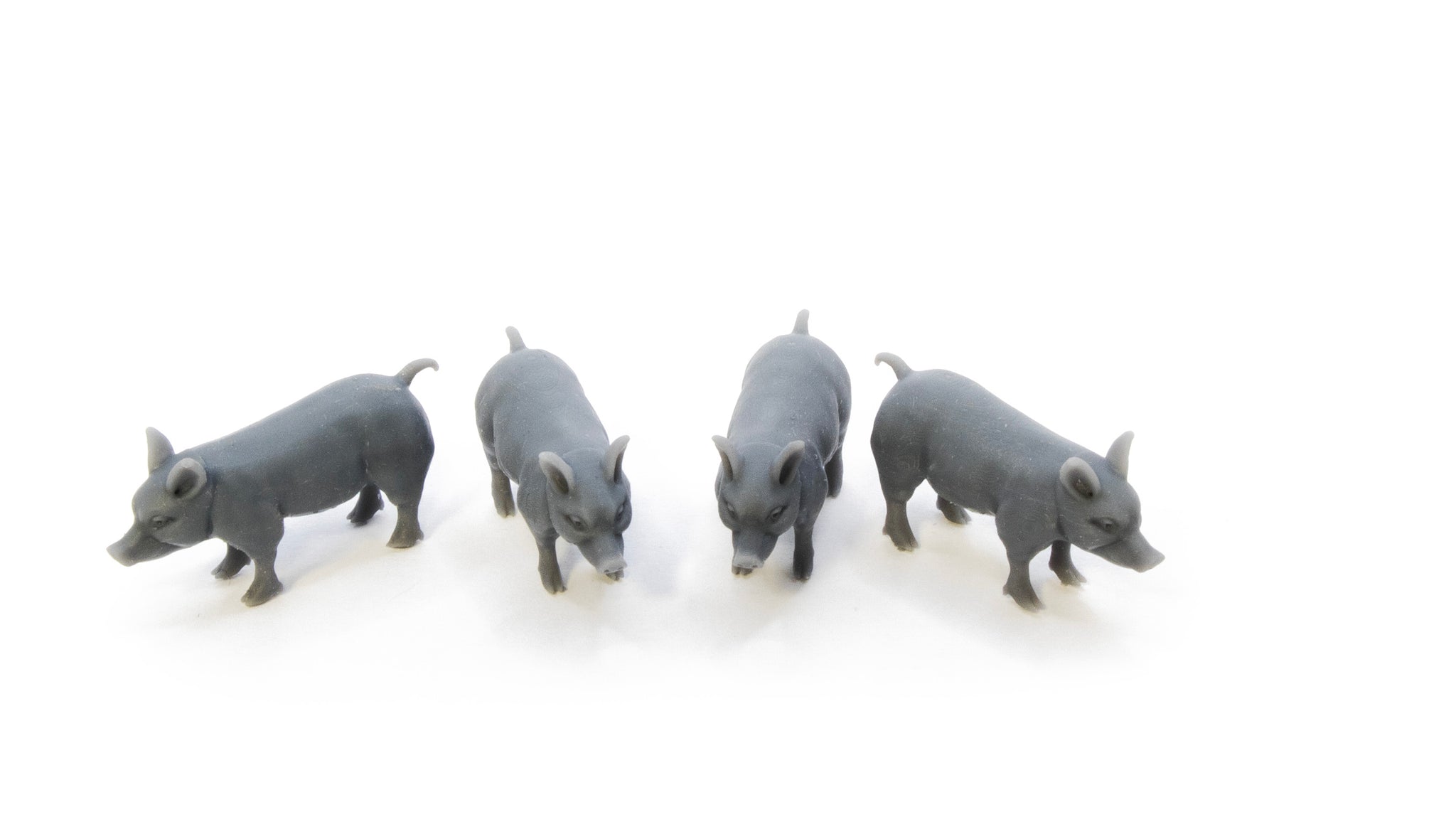 pigs pack – Studio Historia