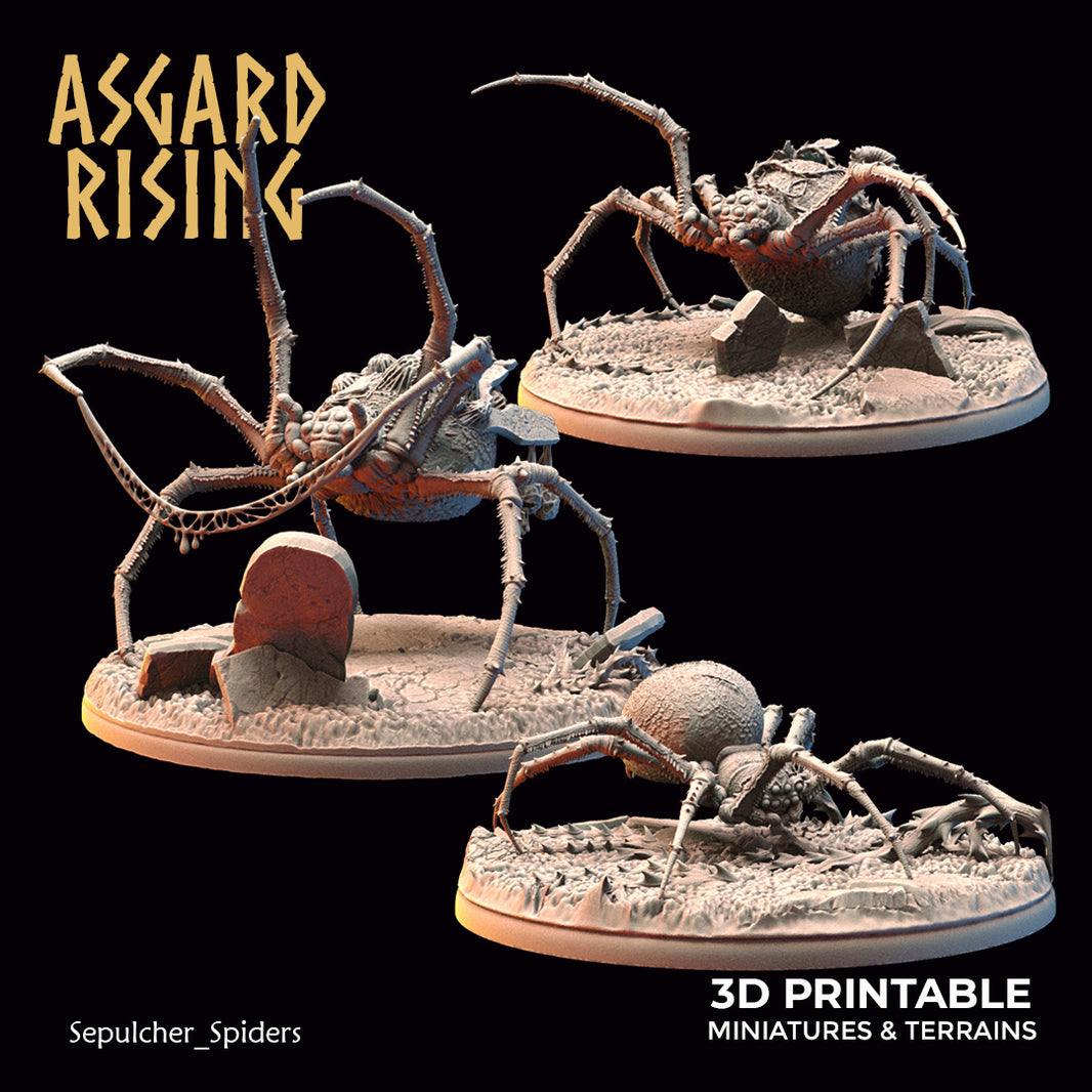 Asgard Rising Spiders – Studio Historia